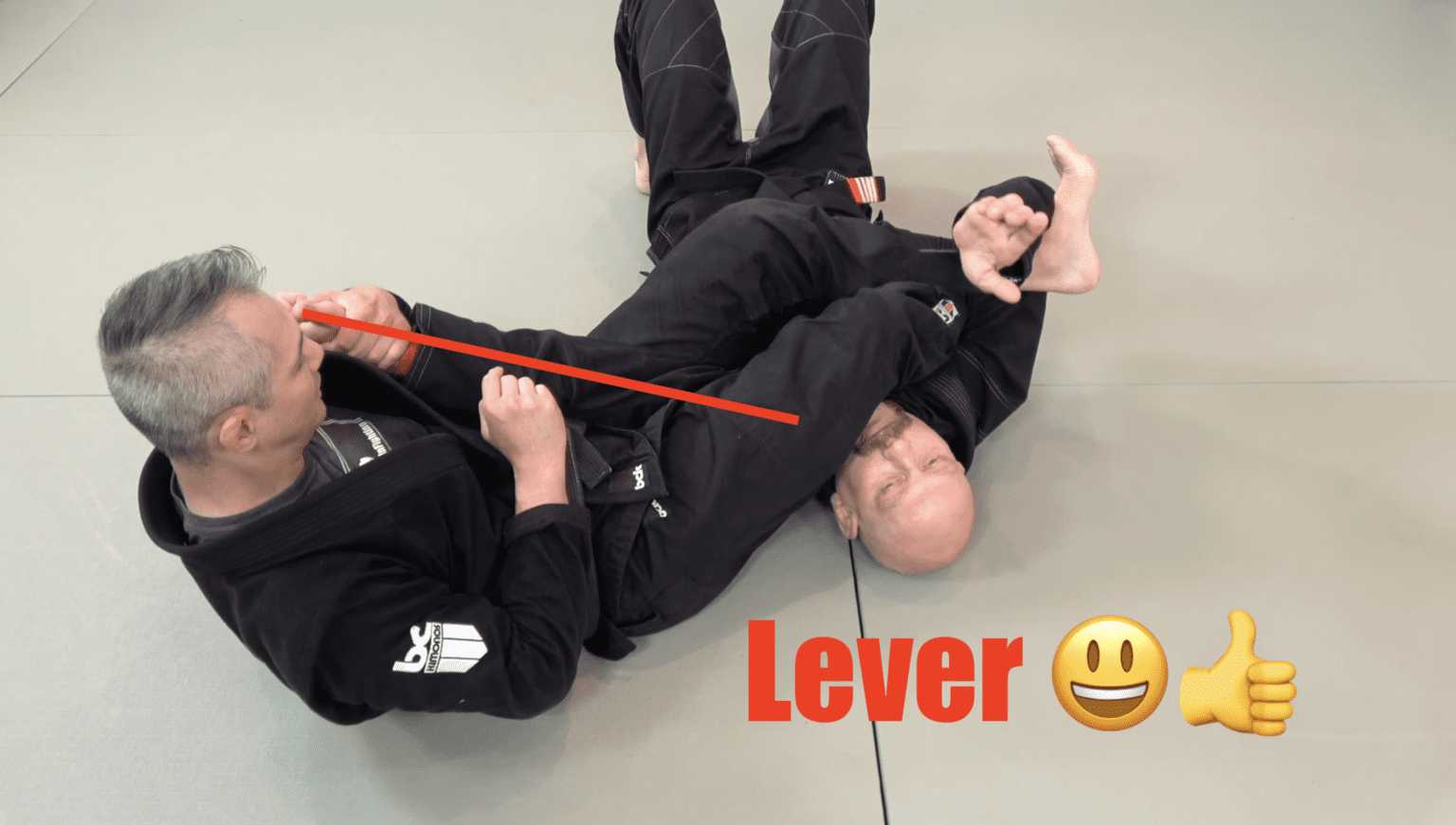 The 81 Most Critical BJJ Techniques And The Principle That Rules Them ...