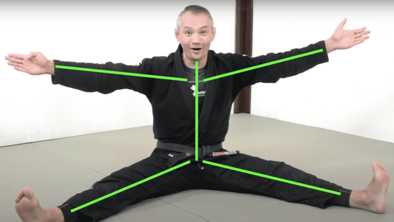 The 81 Most Critical BJJ Techniques And The Principle That Rules Them ...