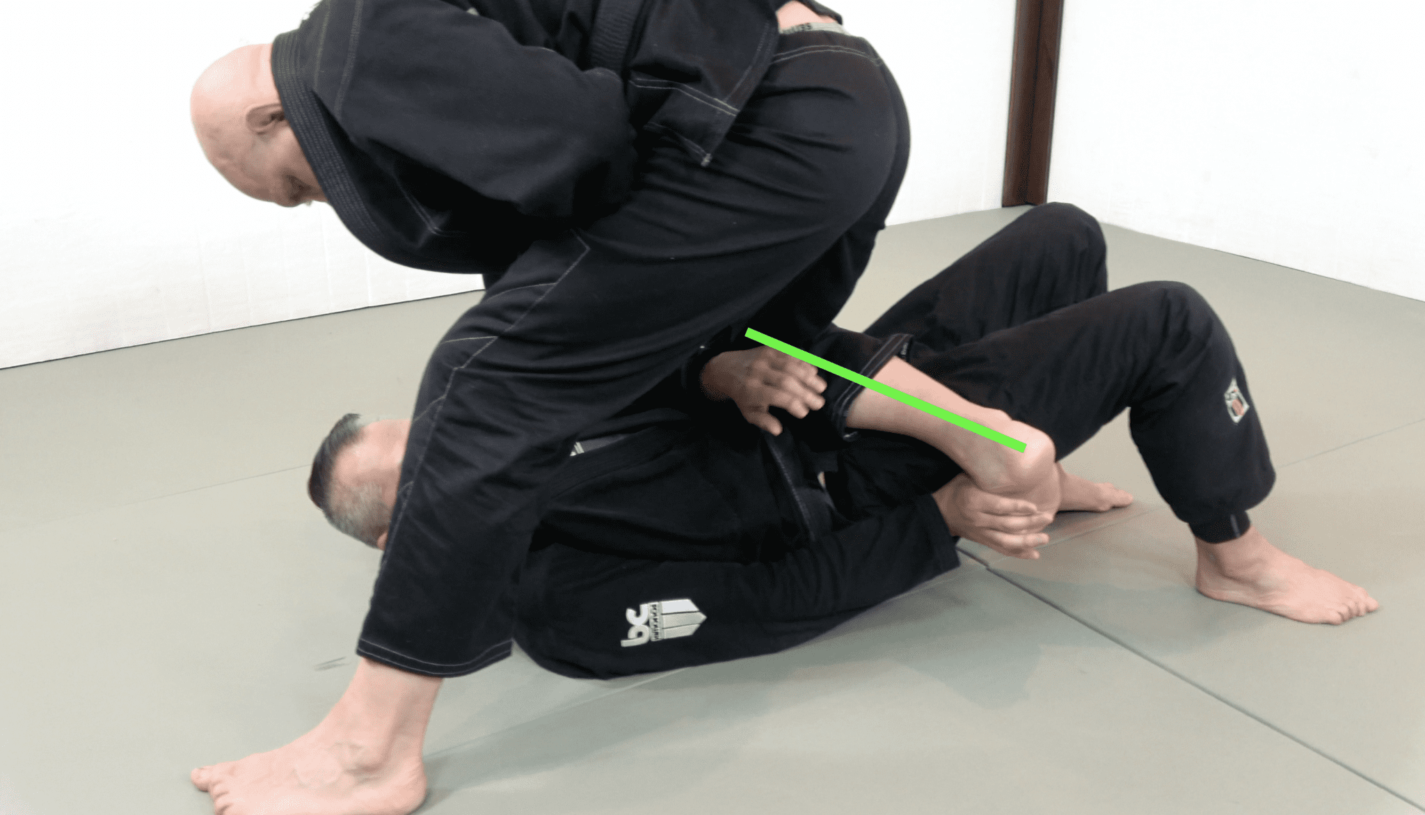 The 81 Most Critical BJJ Techniques And The Principle That Rules Them ...