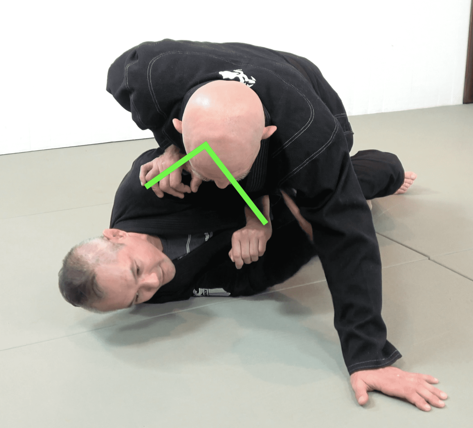 The 81 Most Critical BJJ Techniques And The Principle That Rules Them ...