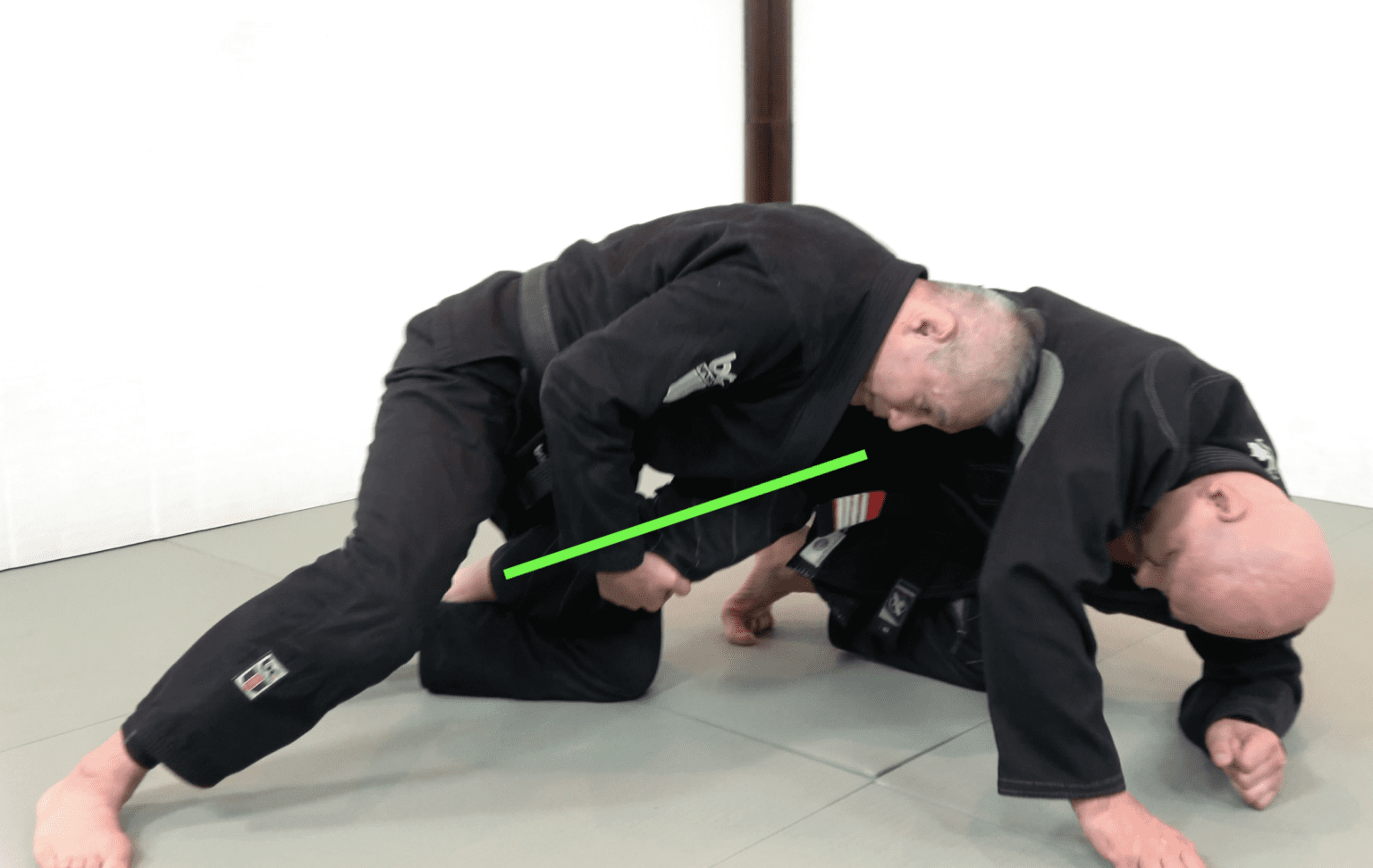 The 81 Most Critical BJJ Techniques And The Principle That Rules Them ...