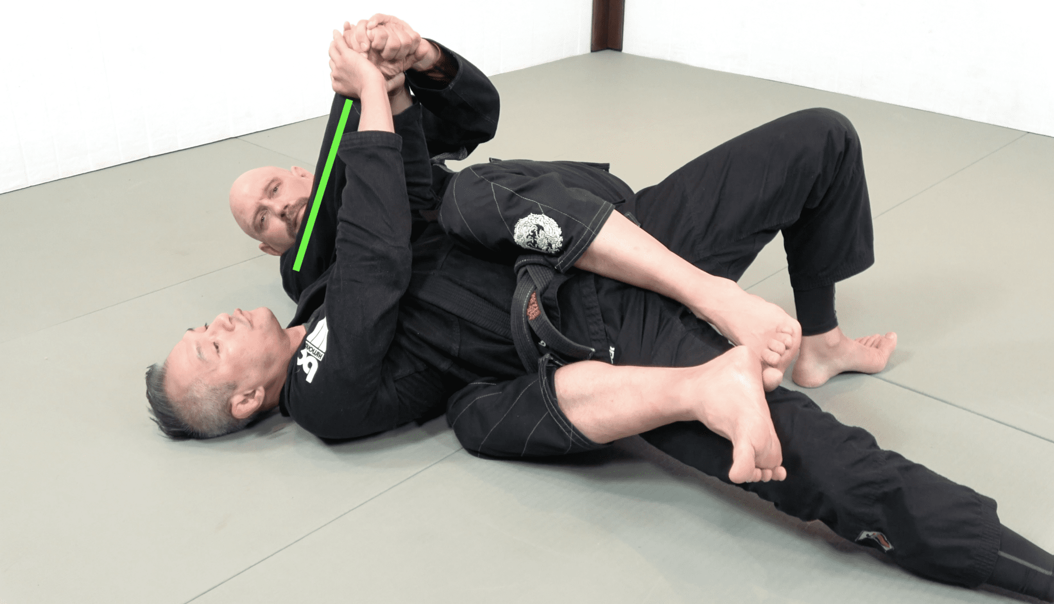 The 81 Most Critical BJJ Techniques And The Principle That Rules Them ...