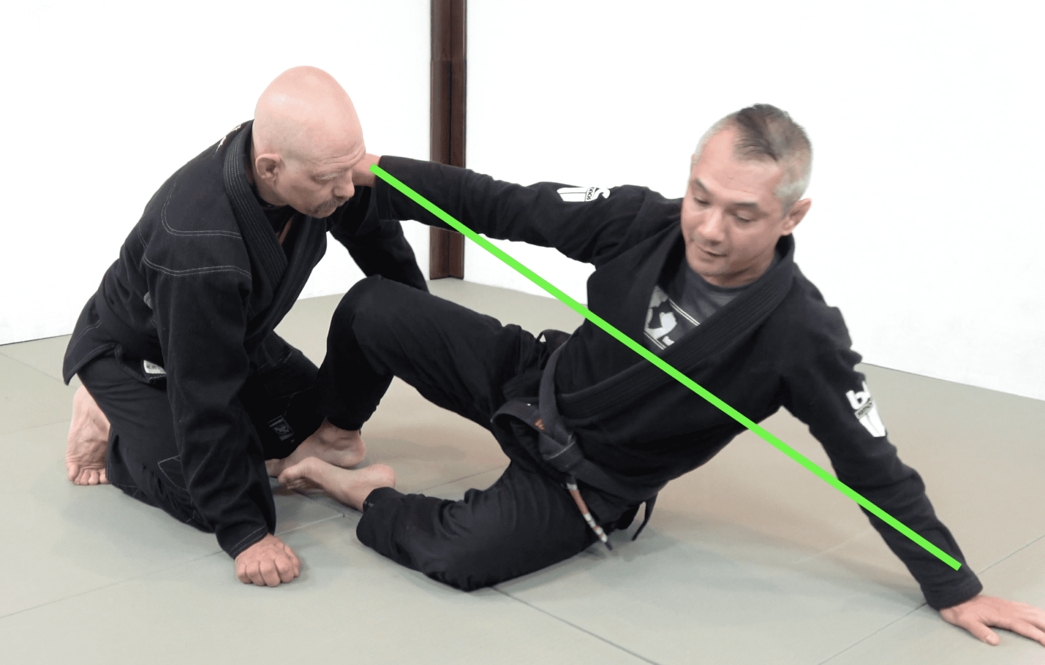 The 81 Most Critical BJJ Techniques And The Principle That Rules Them ...