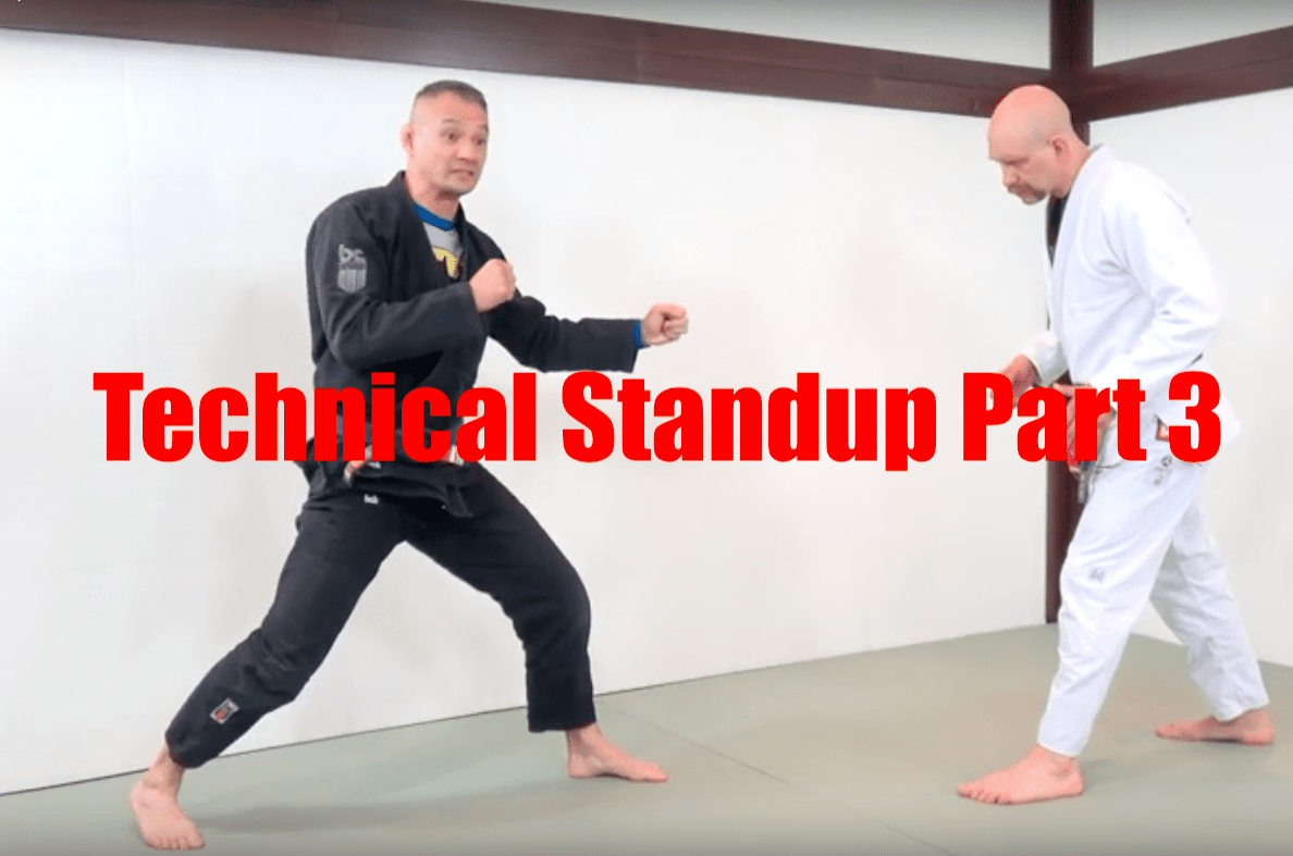 THE ULTIMATE BJJ BEGINNER’S GUIDE - Infighting